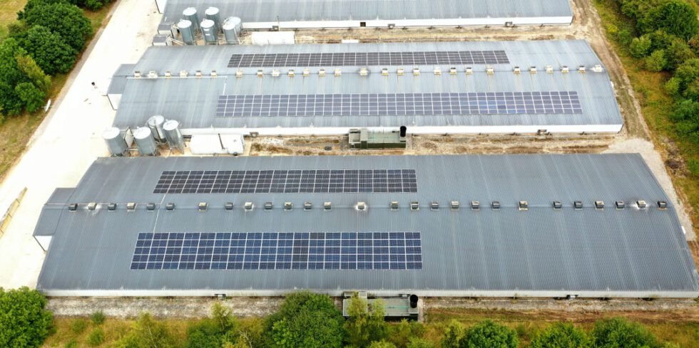 Case Study: Higher Hall Poultry Farm - Solar PV Battery Systems